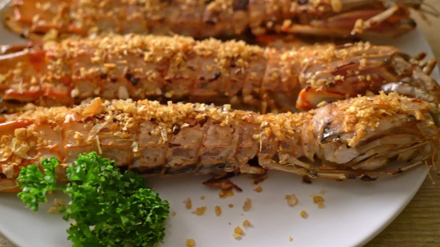 The mantis shrimp: discover their hunting abilities and how they are ...