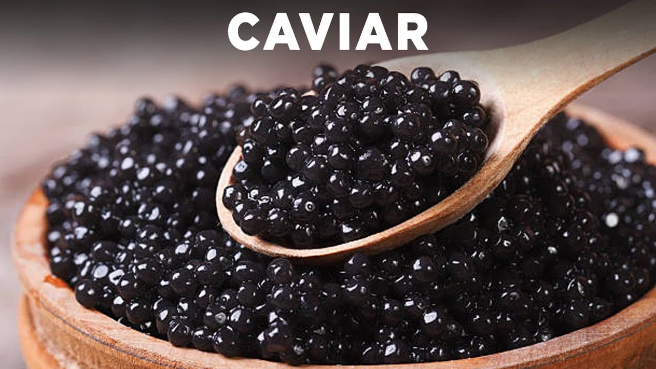 Caviar: Discover the Luxurious Culinary Delight Obtained from Sturgeon ...