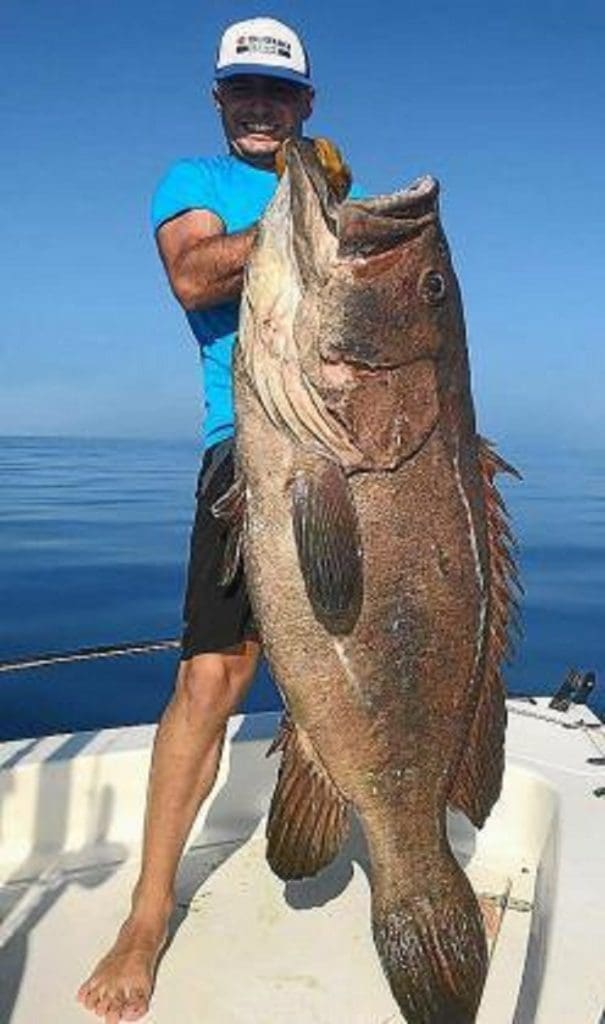 Grouper: Discover its large size and its importance in fishing ...
