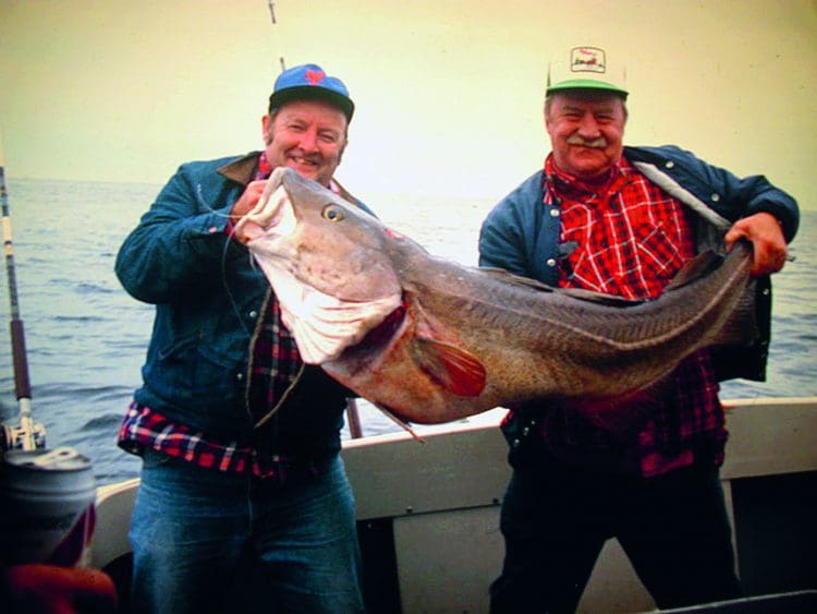 Cod: Discover How It Is Caught and Prepared in Different Culinary ...
