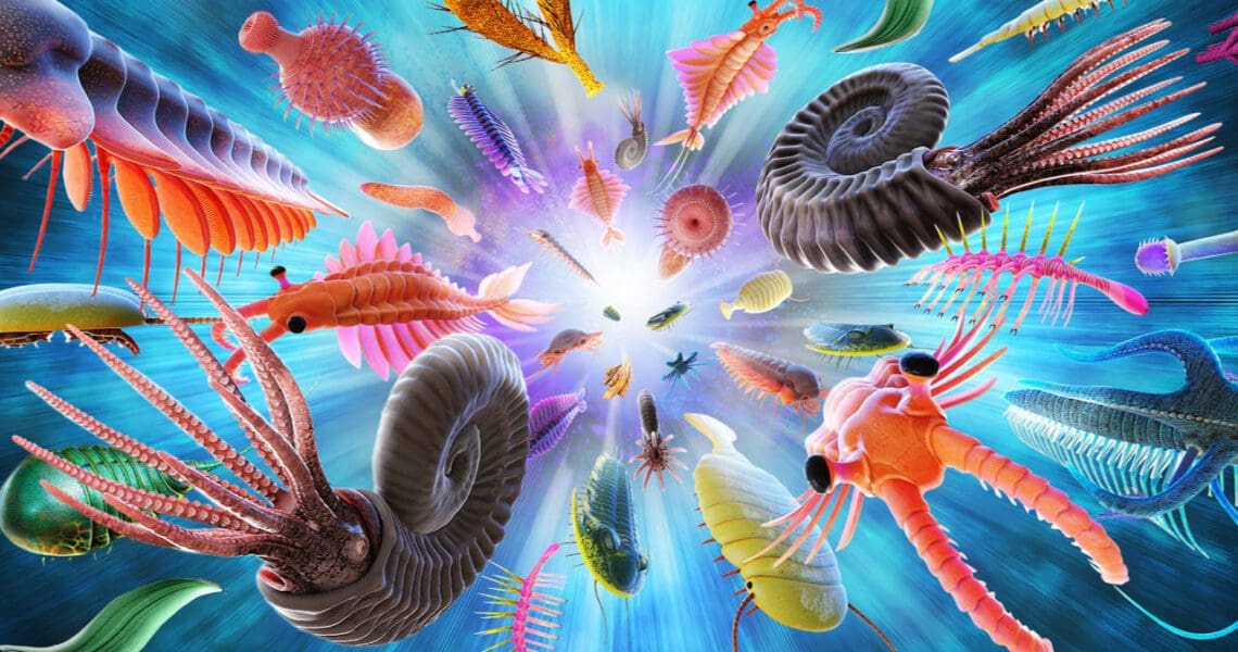 The location with the greatest marine biodiversity in the world ...