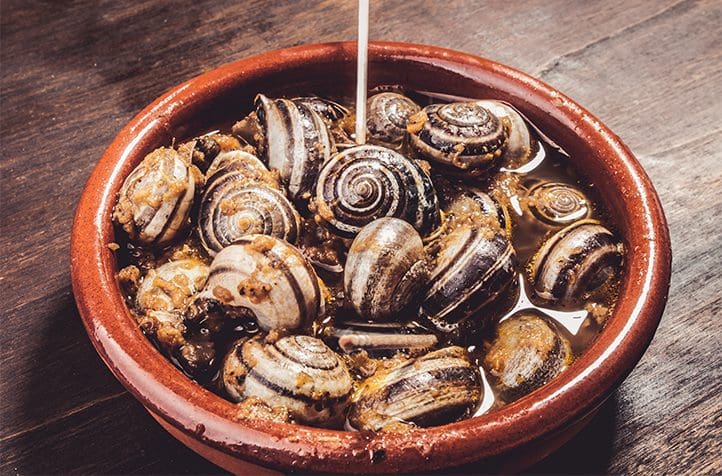 Marine Snails: Species and Their Importance in Food. - Seafood Peddler