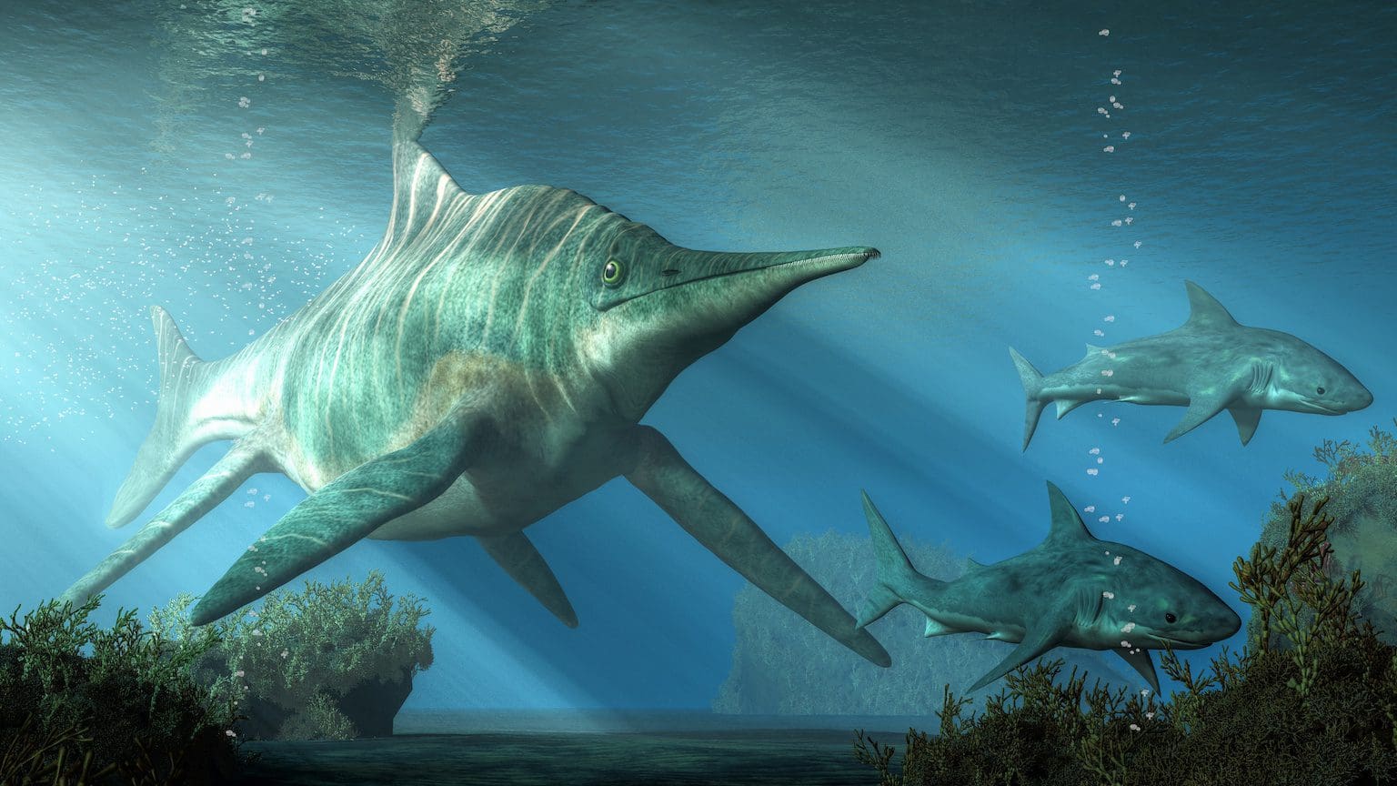 Discovering the Marine Giant: What is the largest marine animal of all ...