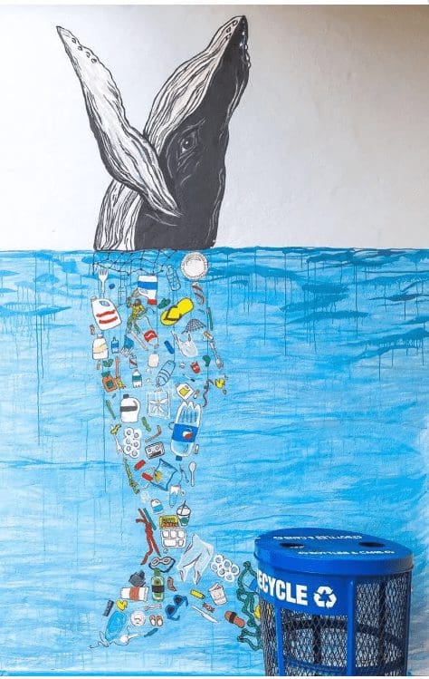 Guardians Of The Sea The Vital Impact Of Ong In Marine Conservation