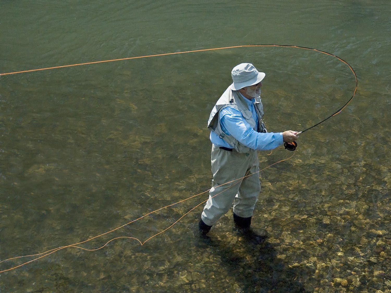Sustainable Fishing and Responsible Consumption. - Seafood Peddler