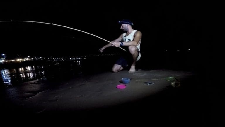 Night Fishing: What to Consider and Which Species Are Most Active ...