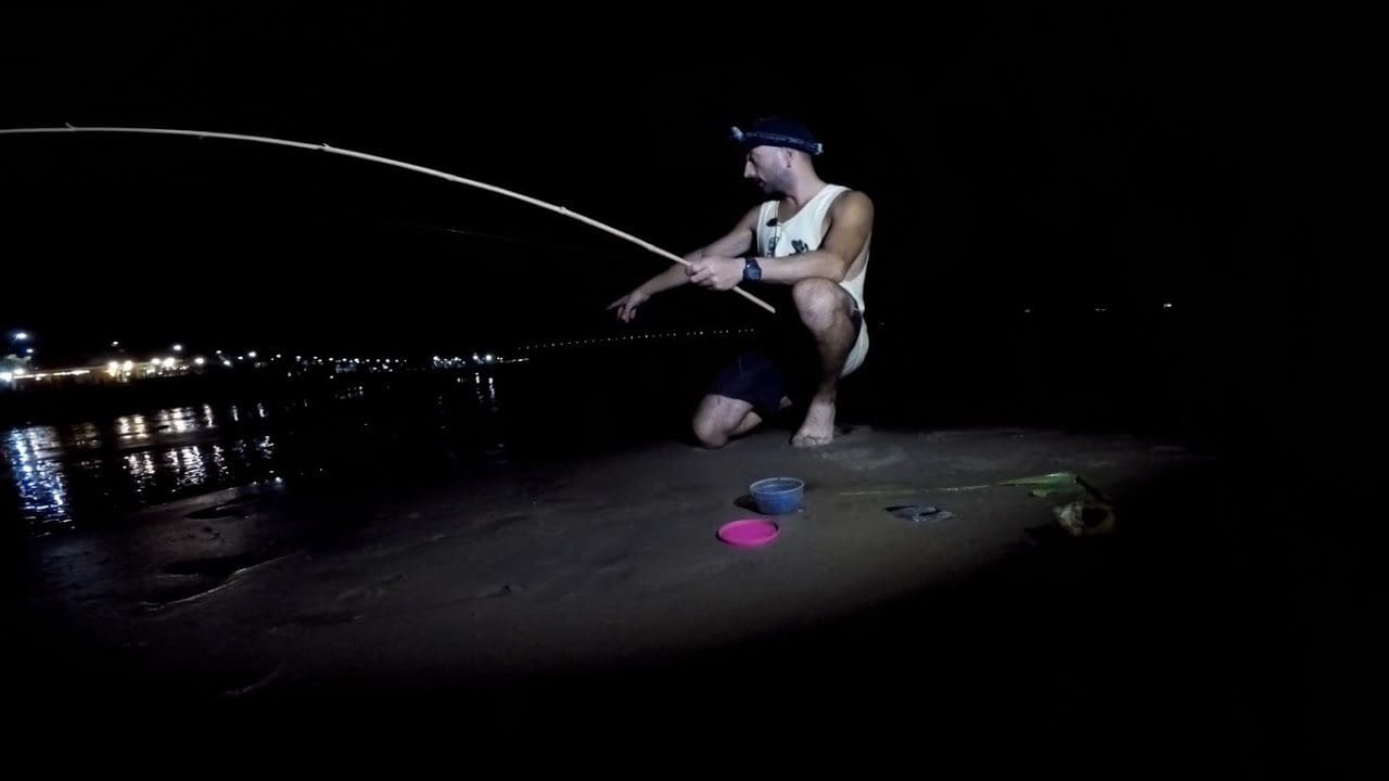 Night Fishing: What to Consider and Which Species Are Most Active ...