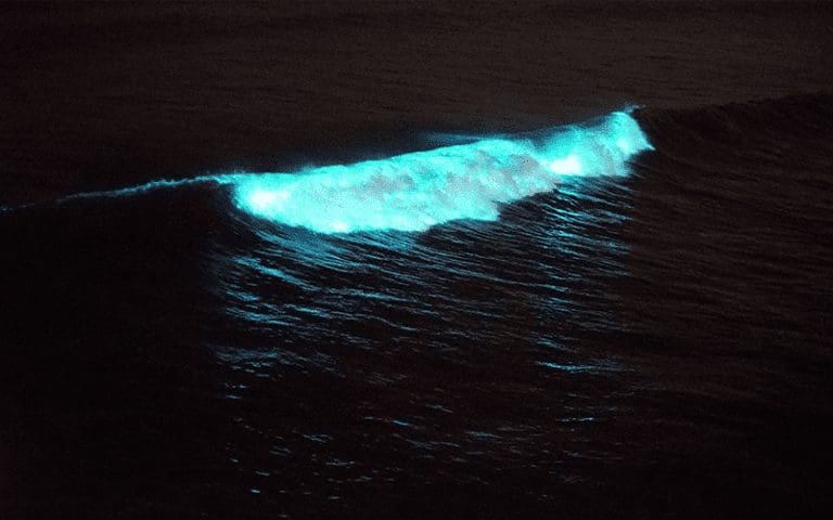 Exploring the Fascinating World of Color Phenomena in the Oceans ...