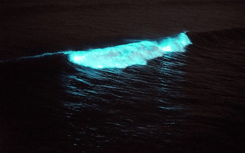 Exploring the Fascinating World of Color Phenomena in the Oceans ...