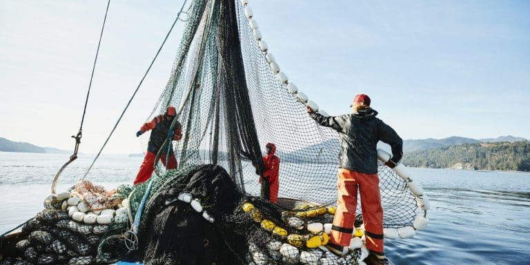 Exploring the Importance of Fishery Exclusion Zones in Marine ...