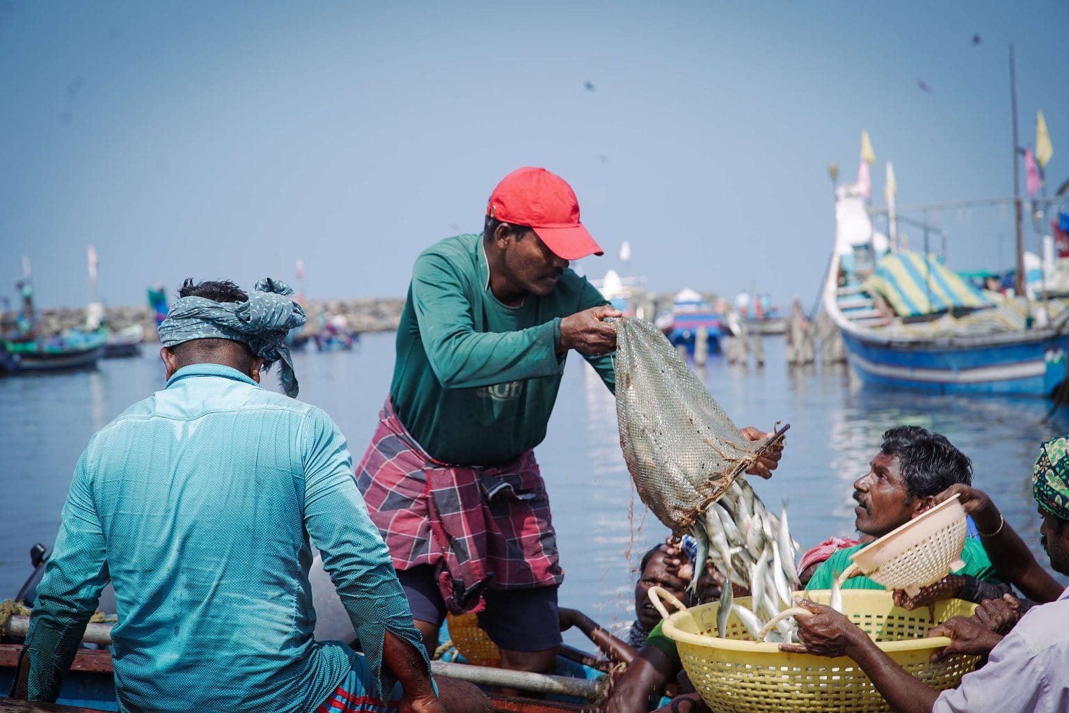 Fishing Livelihood: Sustaining Coastal Communities - Seafood Peddler