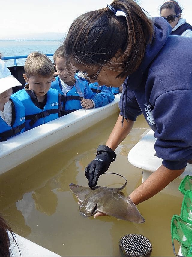 Exploring the Significance of Marine Environmental Education - Seafood ...