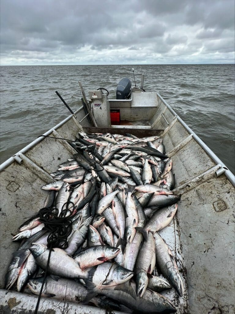 Exploring the Ecological Impact of Fishing - Seafood Peddler