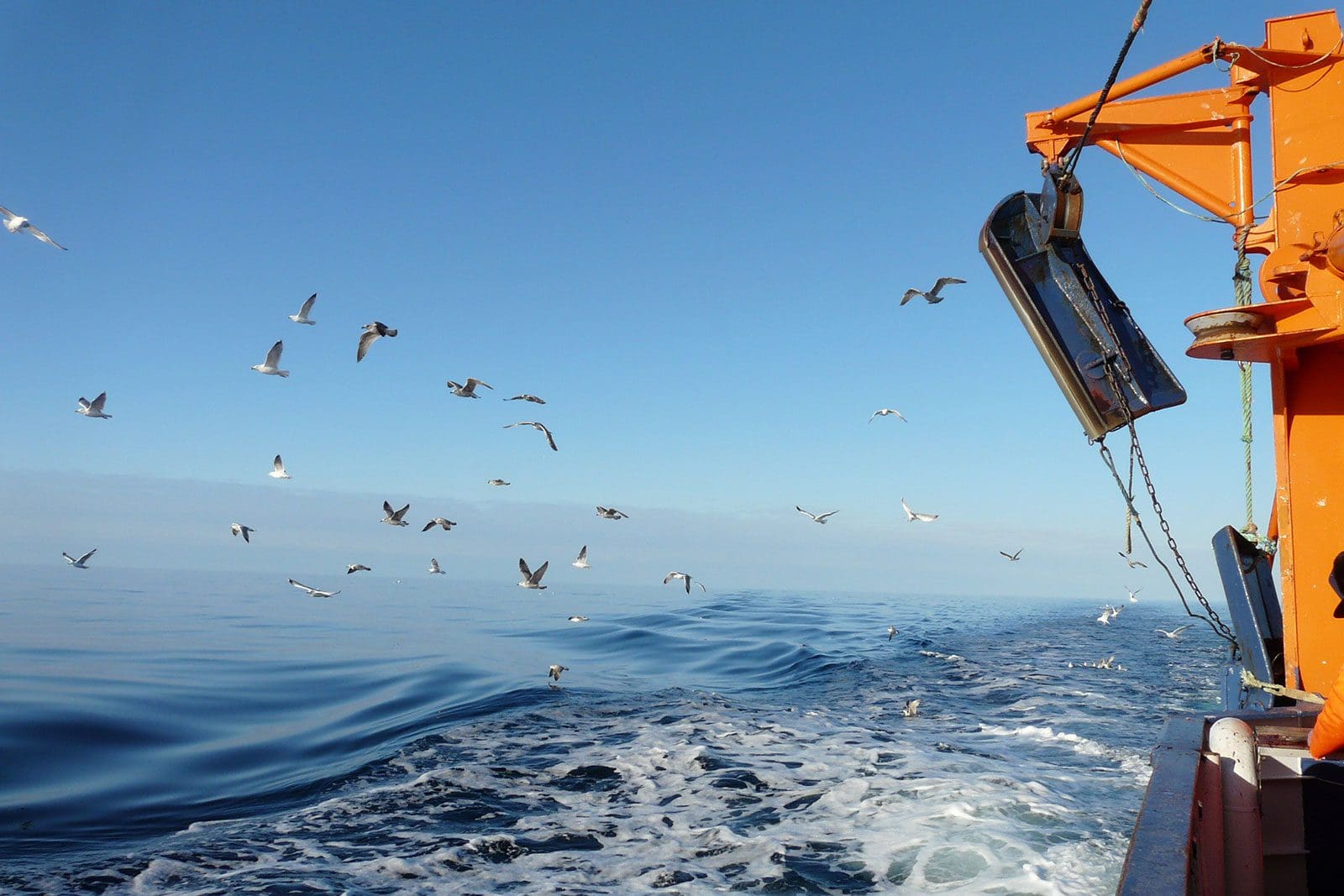 Eco Friendly Trawling: Sailing Towards Sustainable Seas - Seafood Peddler