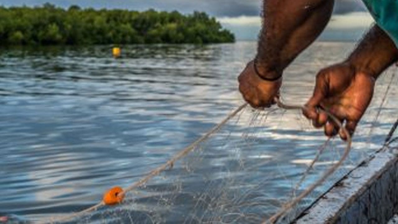 Fishing Livelihood: Sustaining Coastal Communities - Seafood Peddler