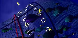 Trawling Sustainability: Depths of Responsible Fishing - Seafood Peddler