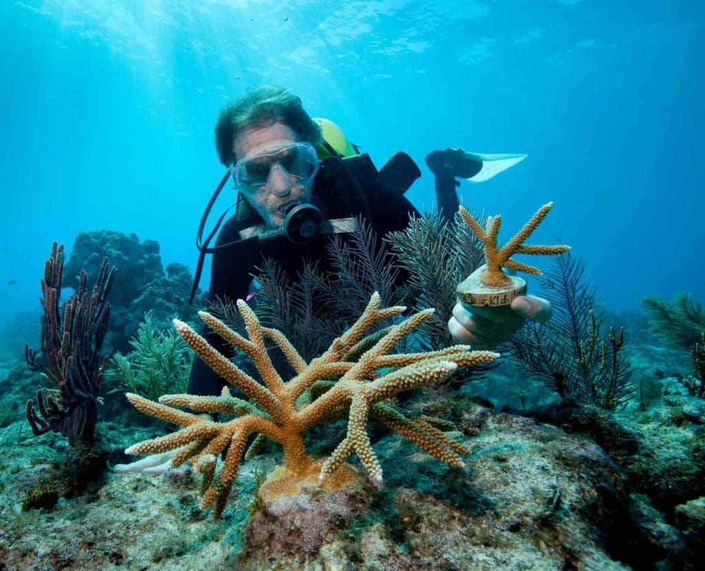 Exploring the Significance of Marine Environmental Education - Seafood ...