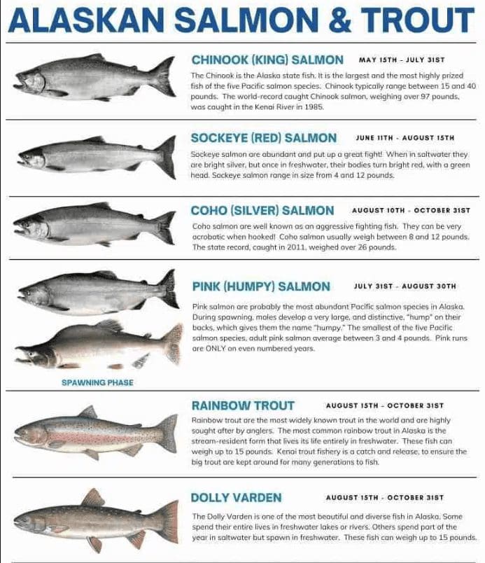 Decoding Seafood Consumption by State Alaska's. - Seafood Peddler