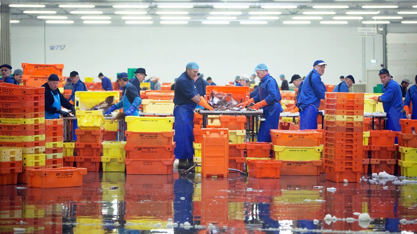 Decoding Seafood Consumption by State Alaska's. - Seafood Peddler