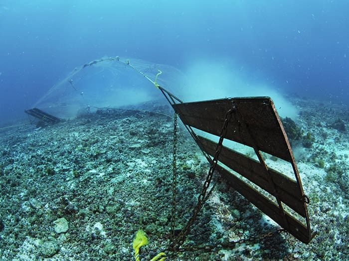 Understanding the Impact of Trawling Environmental Effects. - Seafood ...