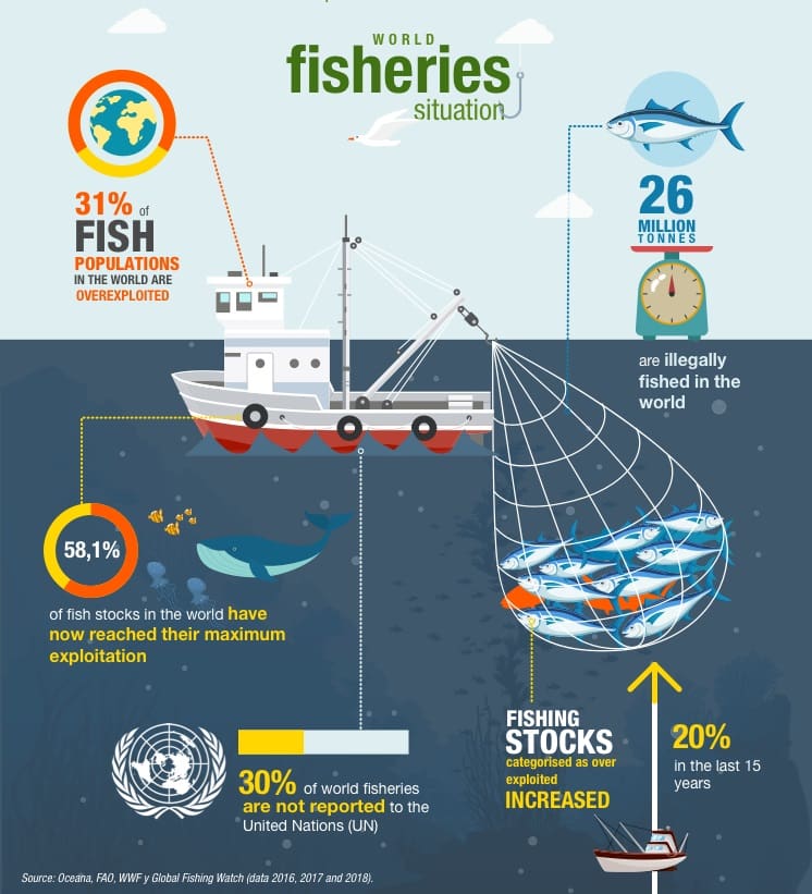 Exploring Effective Fisheries Management Practices. - Seafood Peddler