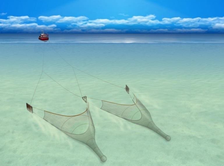 Trawl Fishing Sustainability: Balancing Environmental Impact and ...