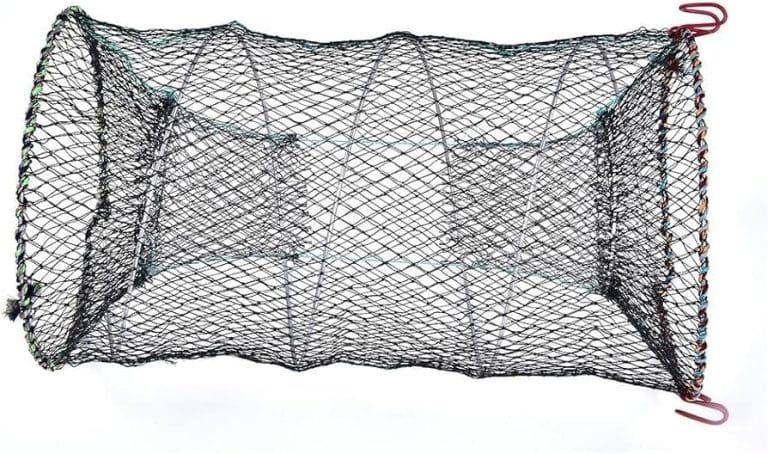 The Oldest Fishing Tools: A Glimpse into Ancient Fishing Techniques ...