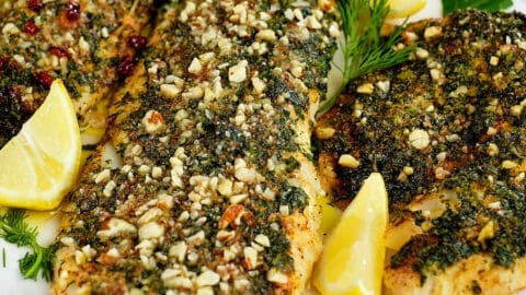 5 Recipes with Barracuda Fish. - Seafood Peddler