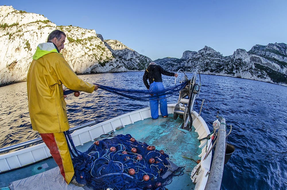 The Vital Role of Small-Scale Fisheries in Sustainable Development ...