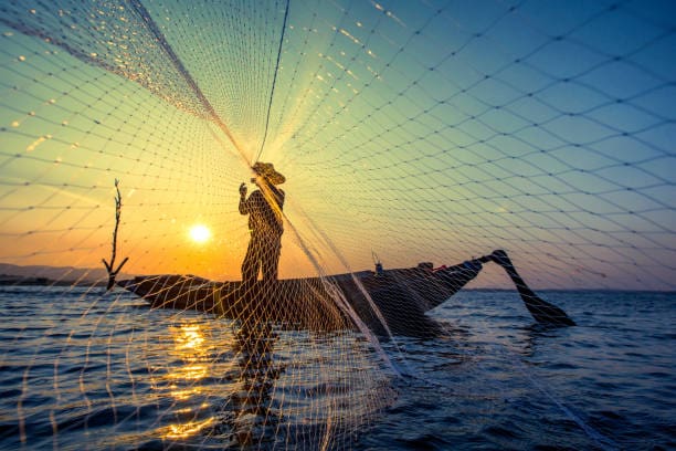 Fishing for a Living - Seafood Peddler